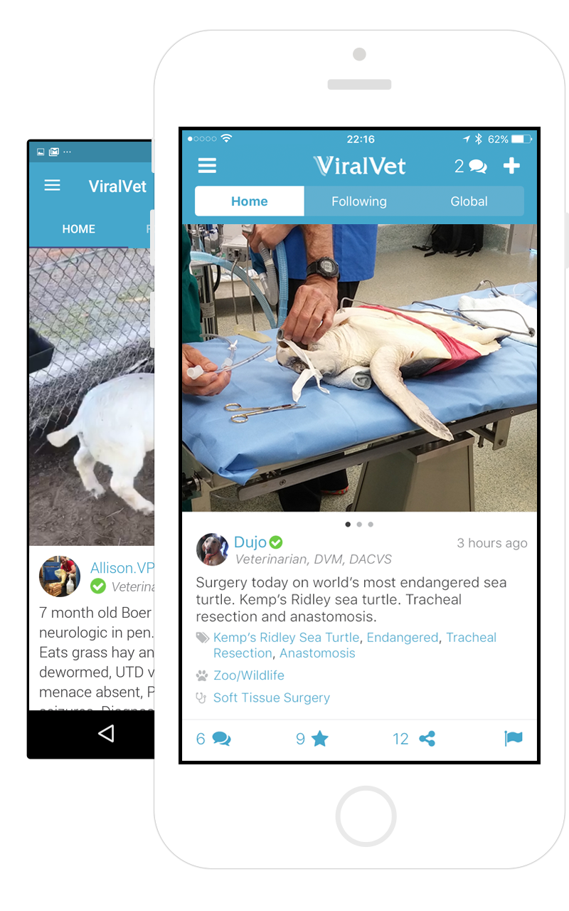 VetPrep | The Most Trusted Way to Prepare for the NAVLE®